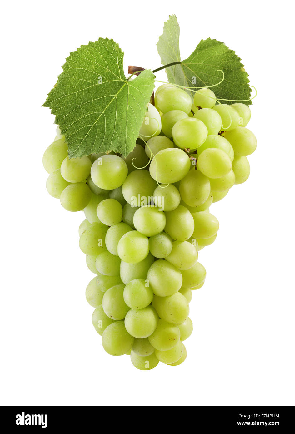 Fresh green grapes with leaves. Isolated on white Stock Photo - Alamy