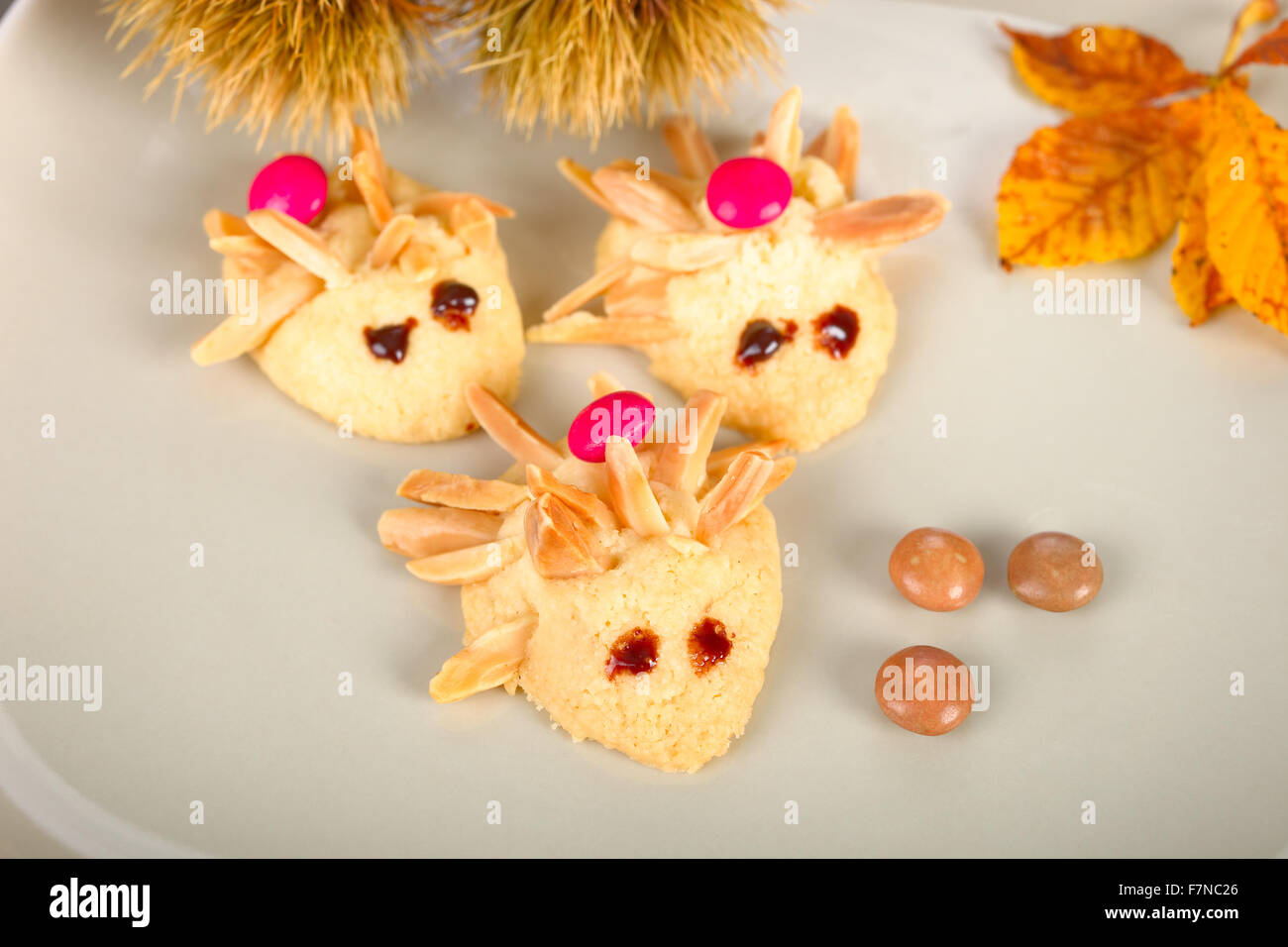 Homemade hedgehog cookies Stock Photo - Alamy