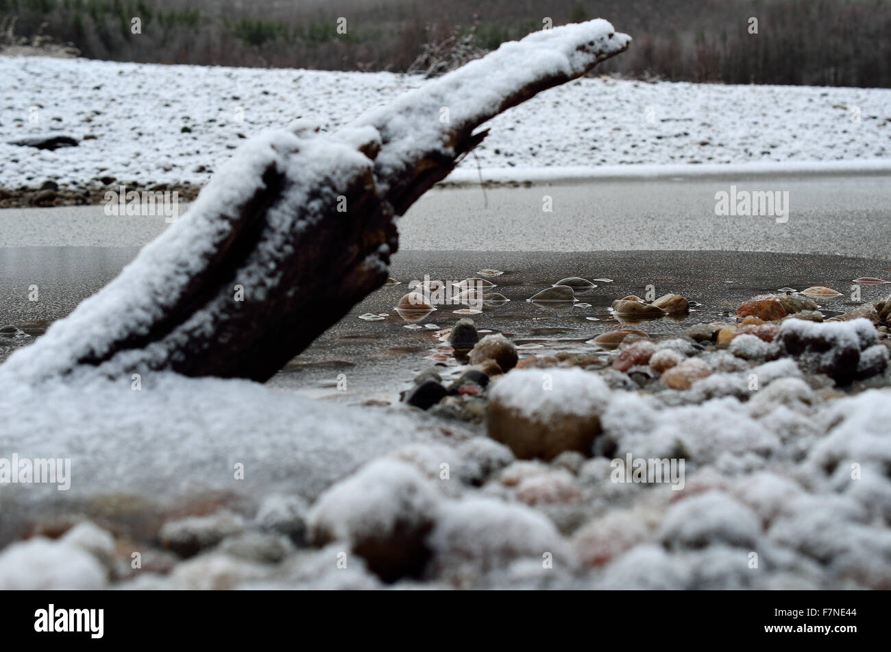 new snow on driftwood log on river beach Stock Photo - Alamy