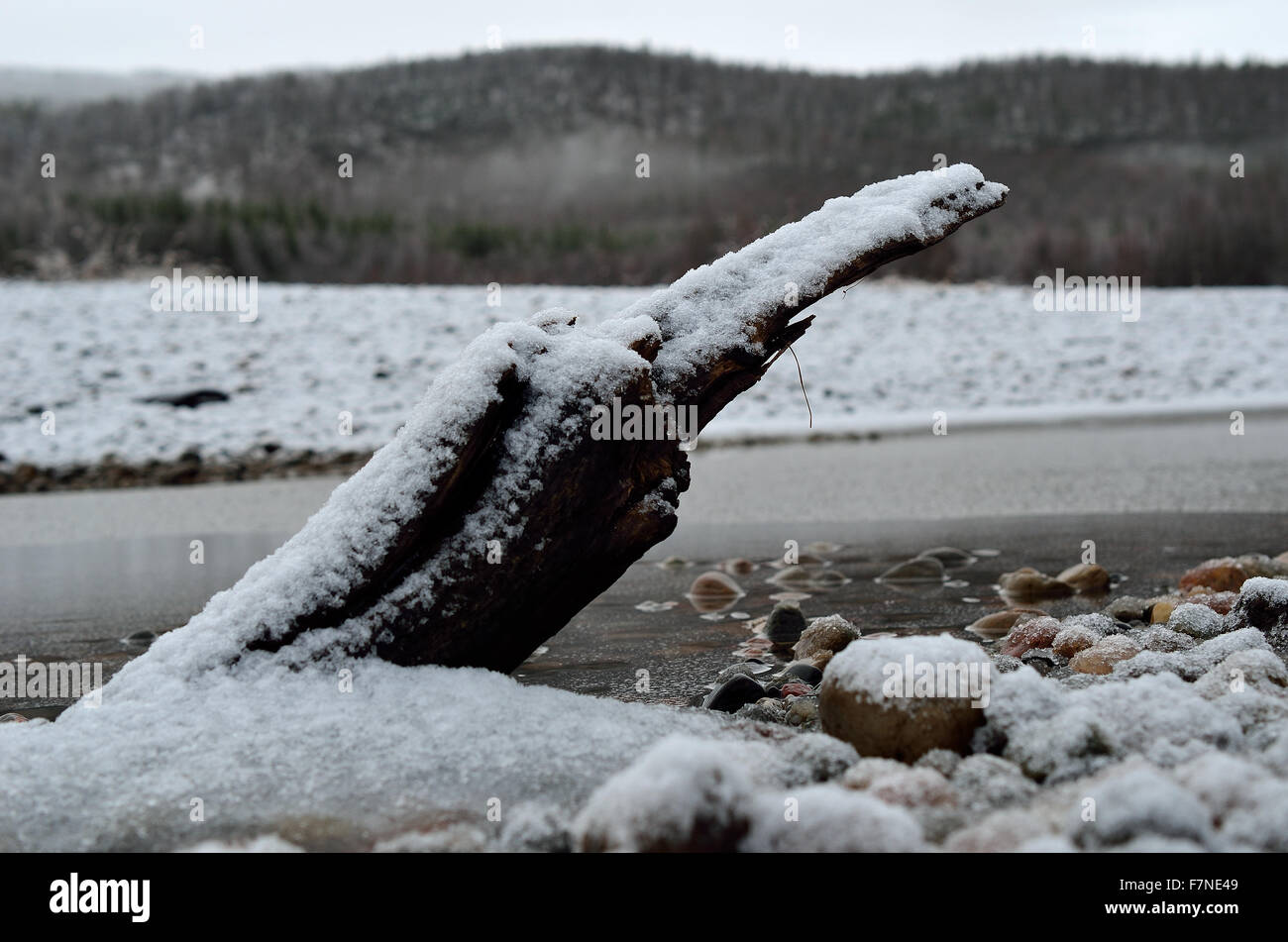new snow on driftwood log on river beach Stock Photo - Alamy
