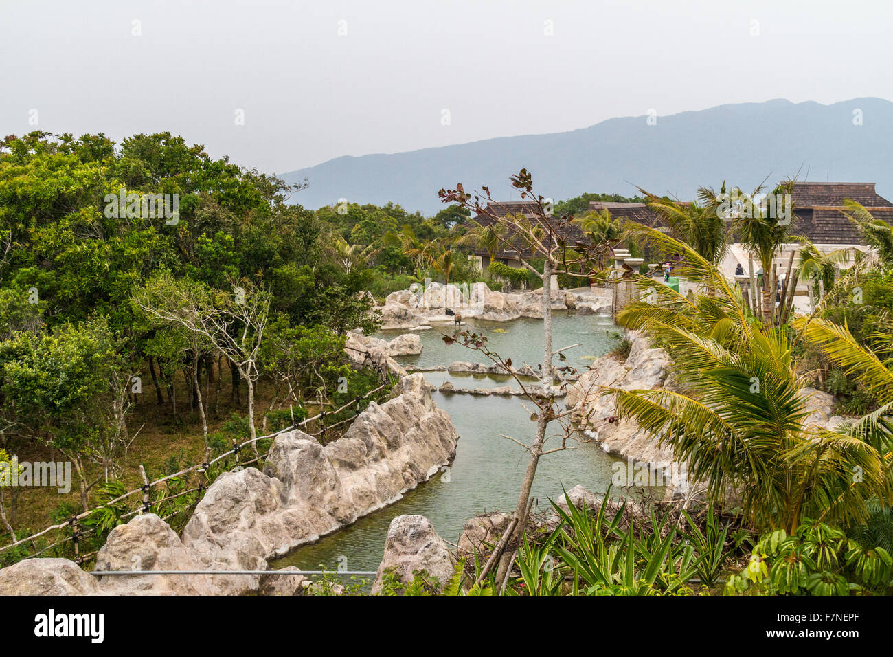 Chinese jungle, island of Hainan Stock Photo - Alamy
