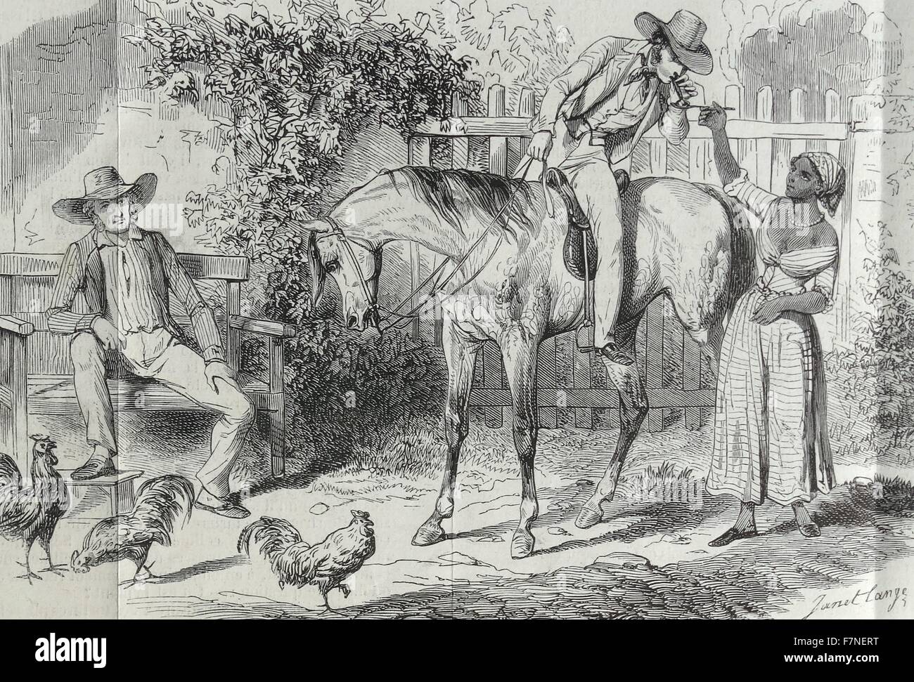 Slave horse rider chickens yard agriculture slavery hi-res stock ...