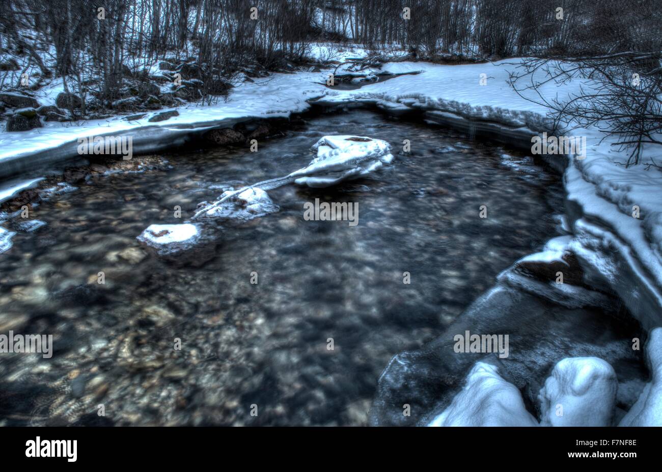 flowing cold mountain river stream with snow and thick forest and ice ...
