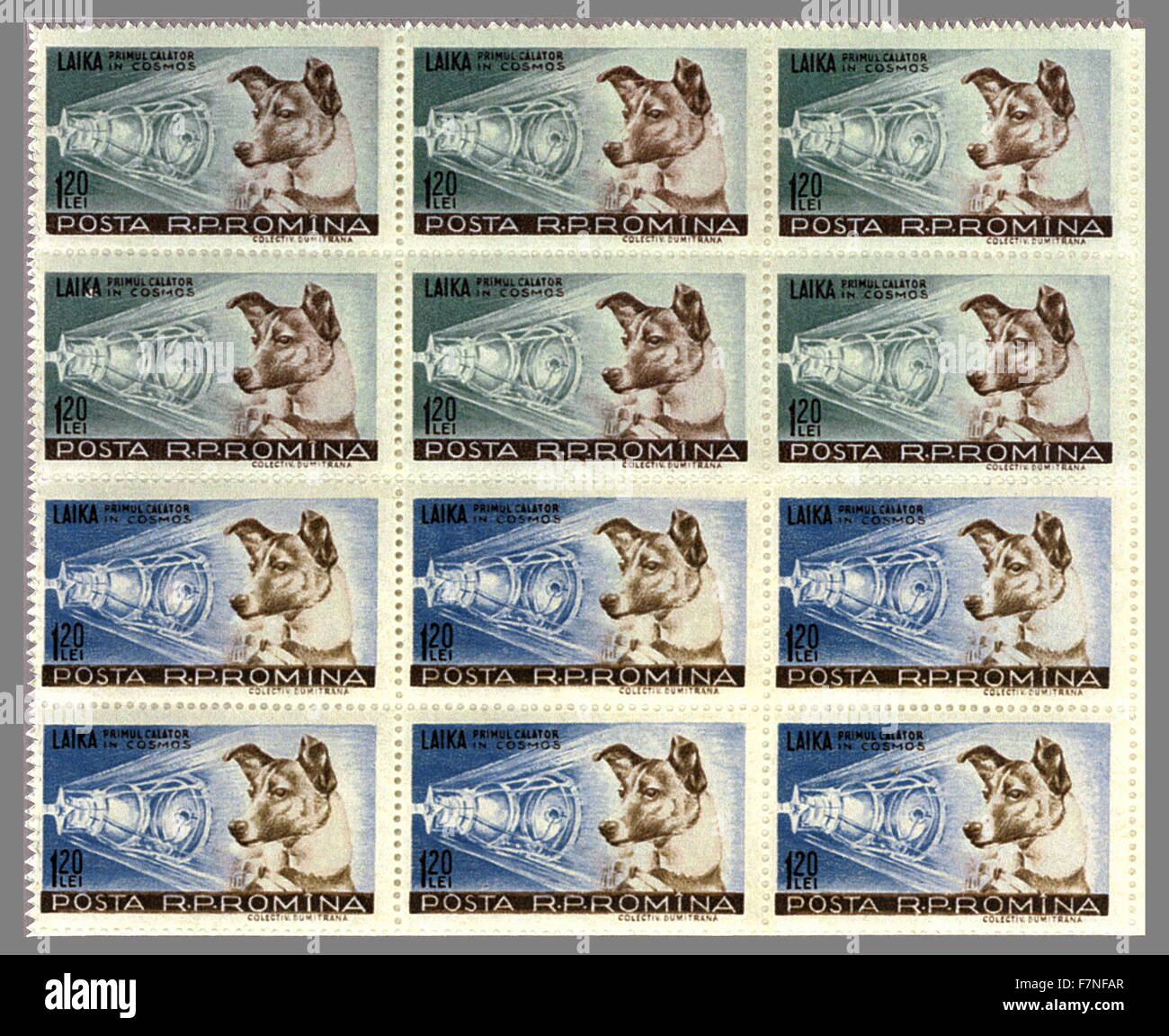 Laika space hi-res stock photography and images - Alamy