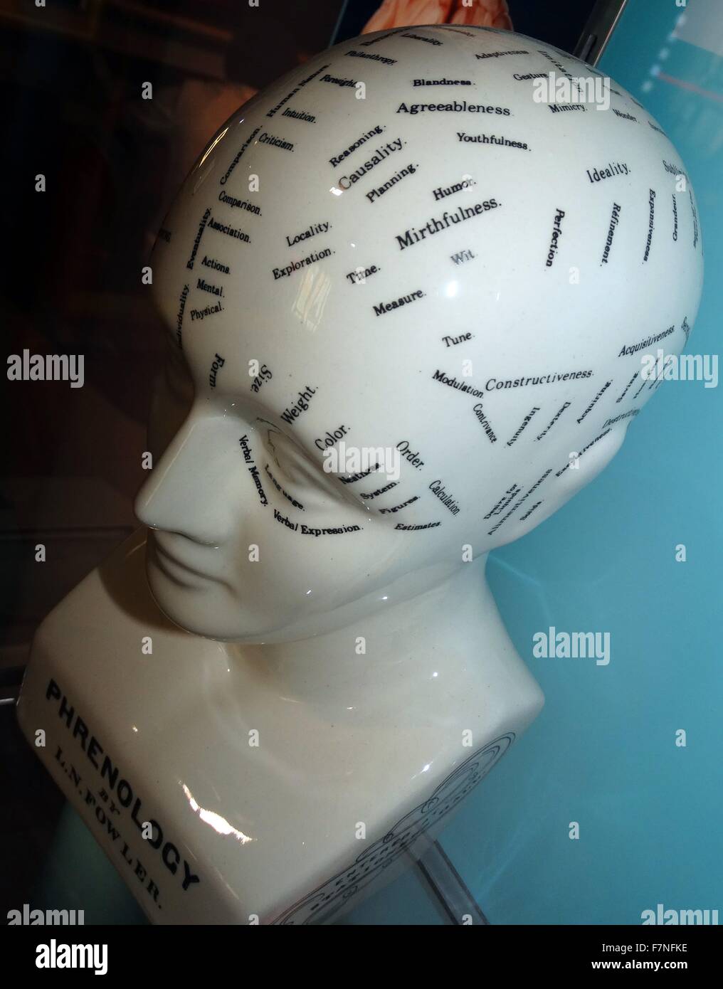 Franz joseph gall phrenology hi-res stock photography and images - Alamy