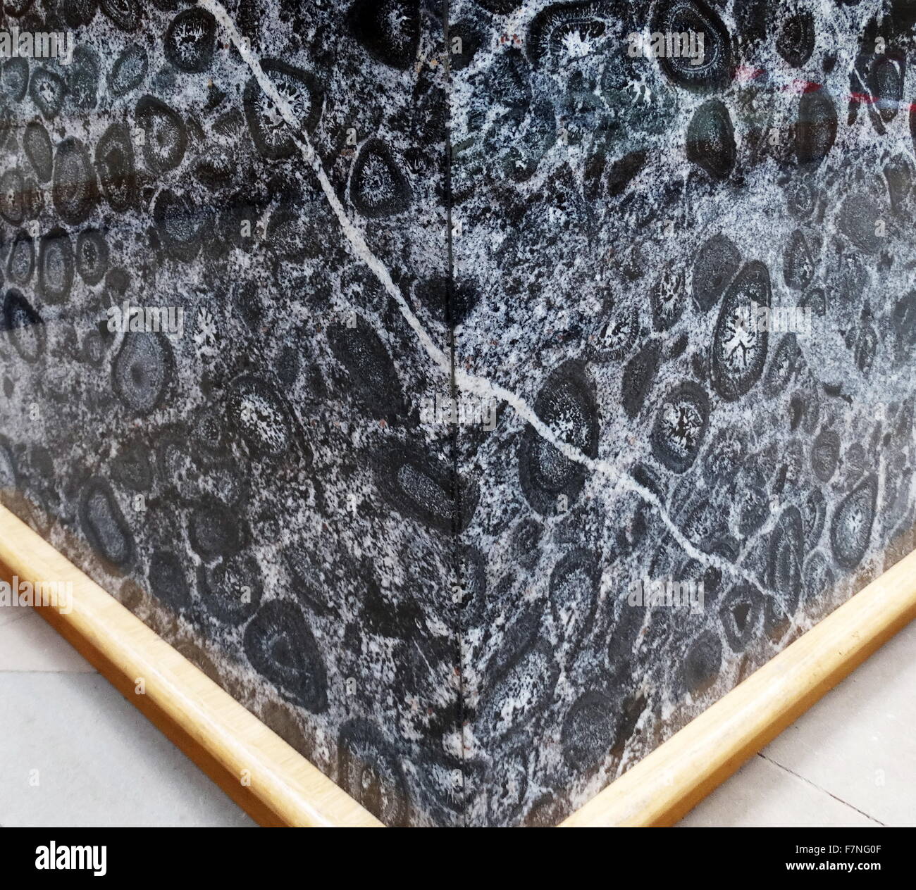 Orbicular granite hi-res stock photography and images - Alamy
