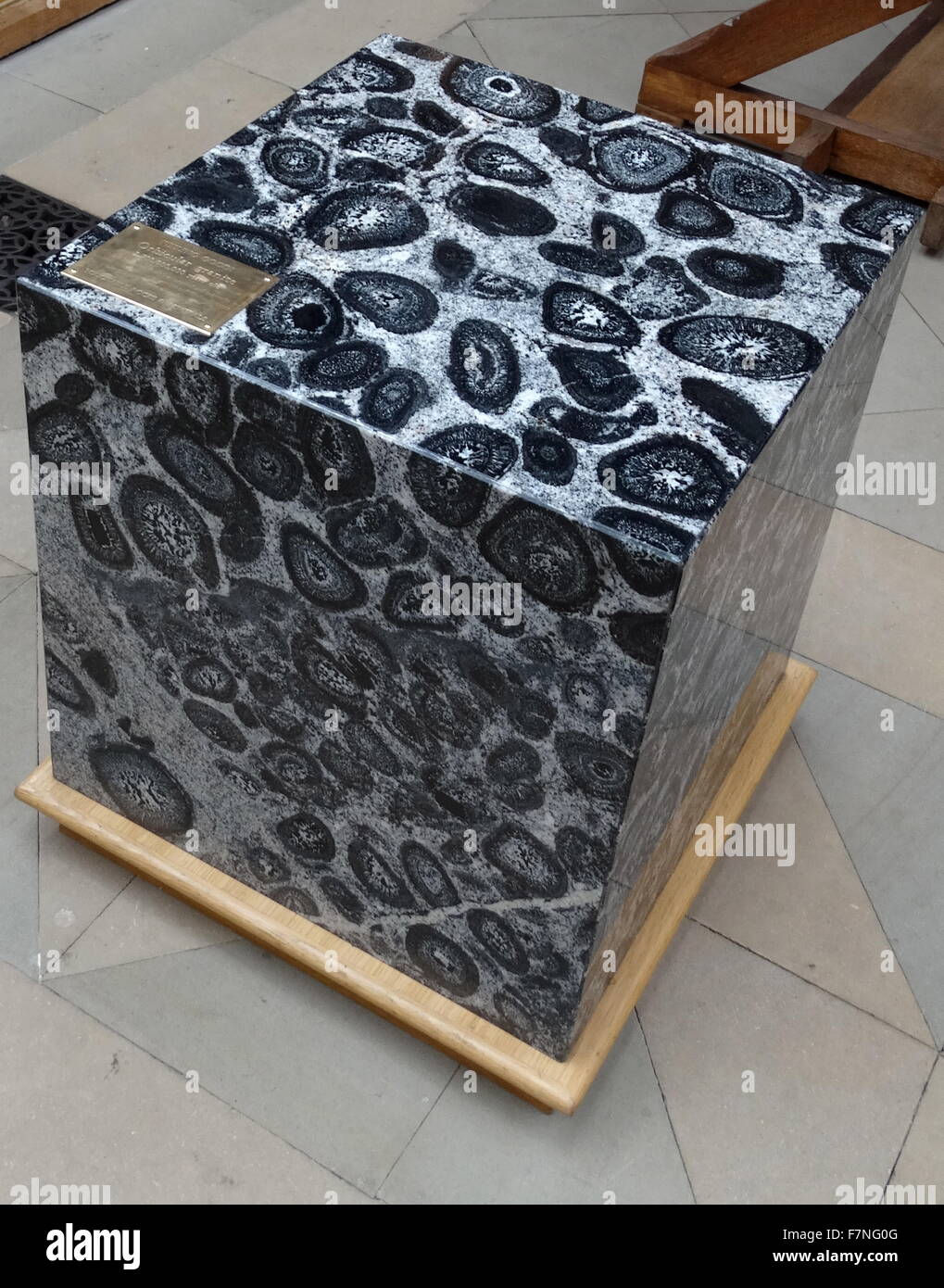 Orbicular granite, an uncommon plutonic rock type which is usually ...