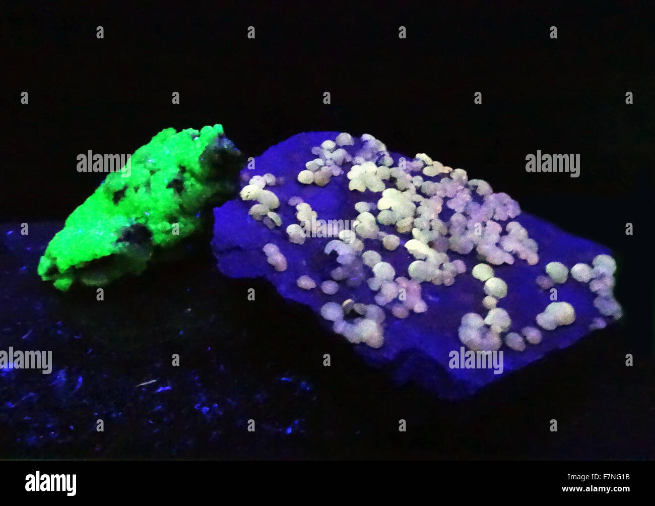 The minerals are lit by ultraviolet light, which coverts a small amount ...