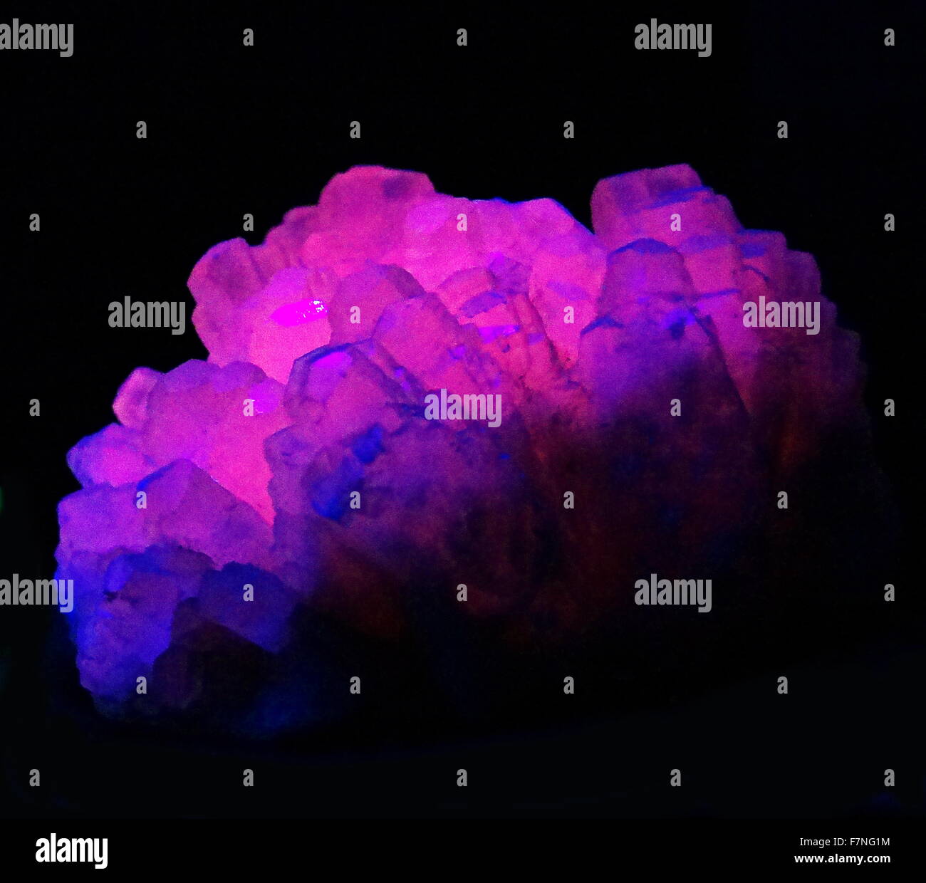 The minerals are lit by ultraviolet light, which coverts a small amount ...