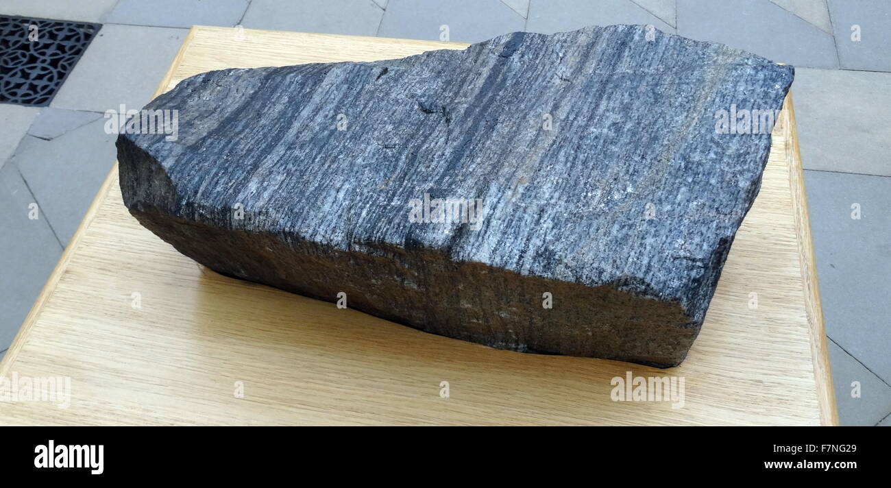 Natural history of britain hi-res stock photography and images - Alamy