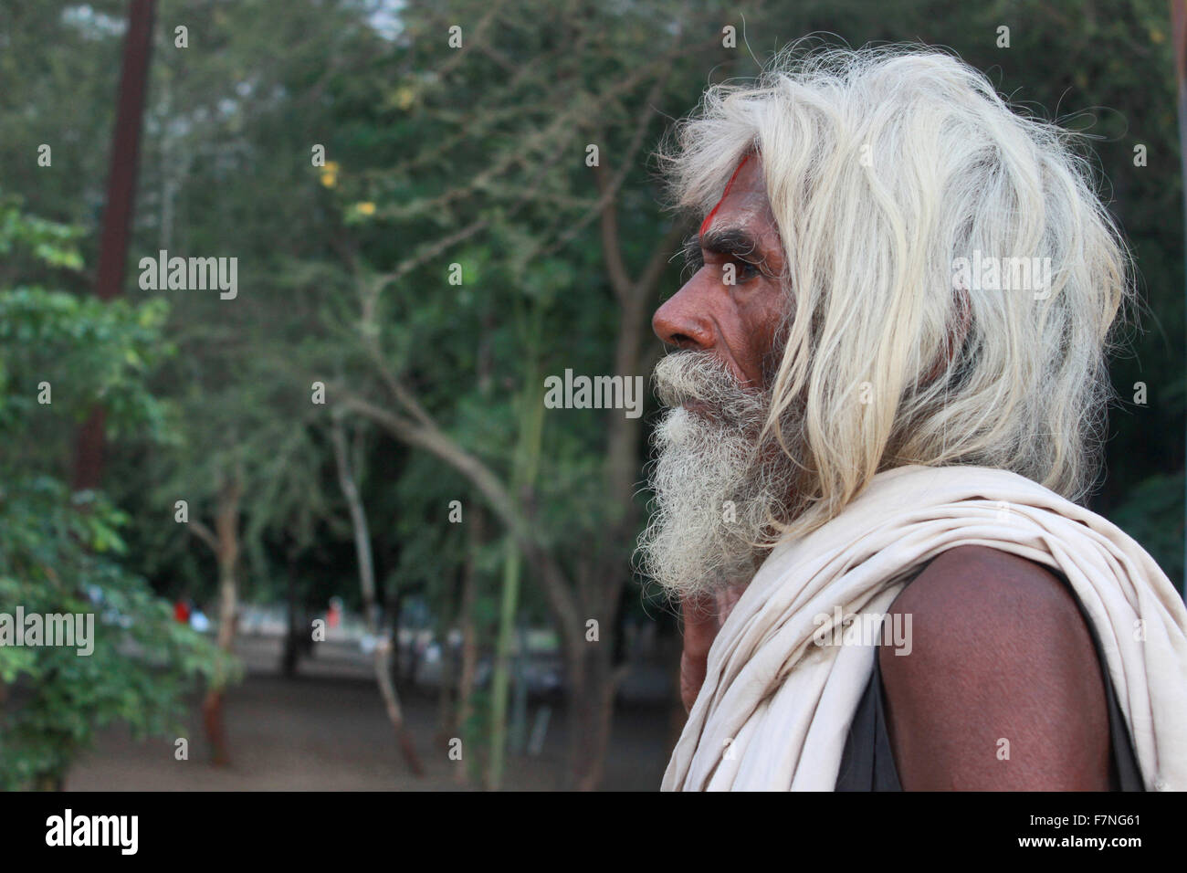White hair Sadhu Kumbh Mela, Nasik, Maharashtra, India Stock Photo - Alamy