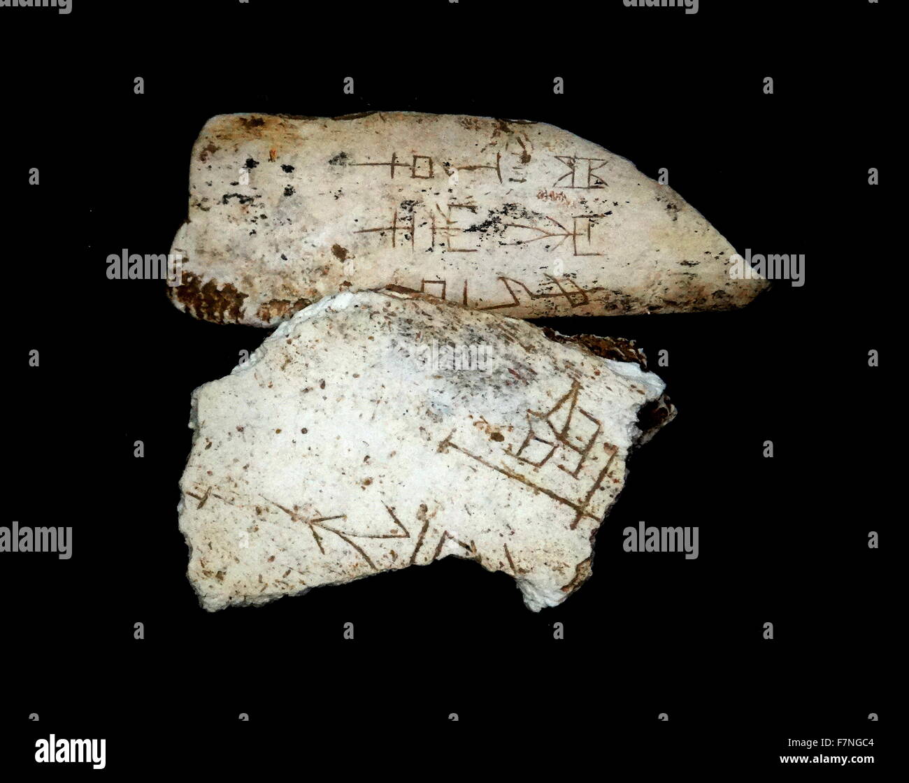 Engraved bone hi-res stock photography and images - Alamy