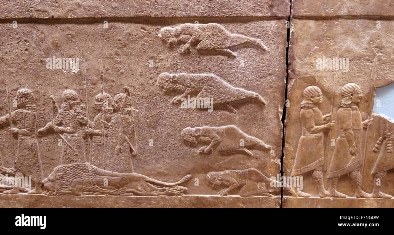 Lion hunt on horseback hi-res stock photography and images - Alamy