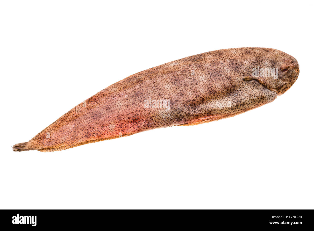 Fish Dover sole Stock Photo - Alamy