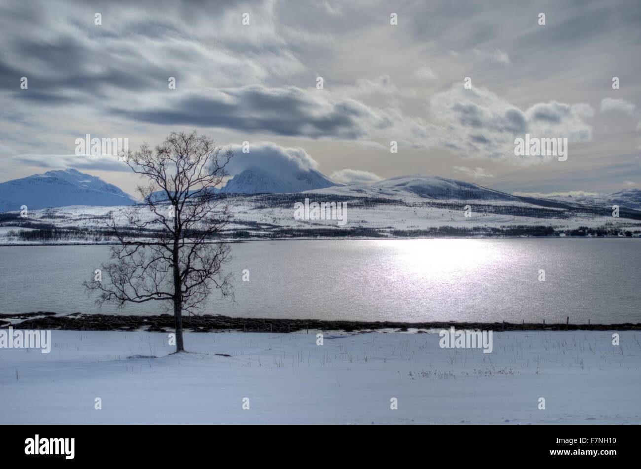 sunshine reflection on sea surface with field, tree and snowy mountain ...