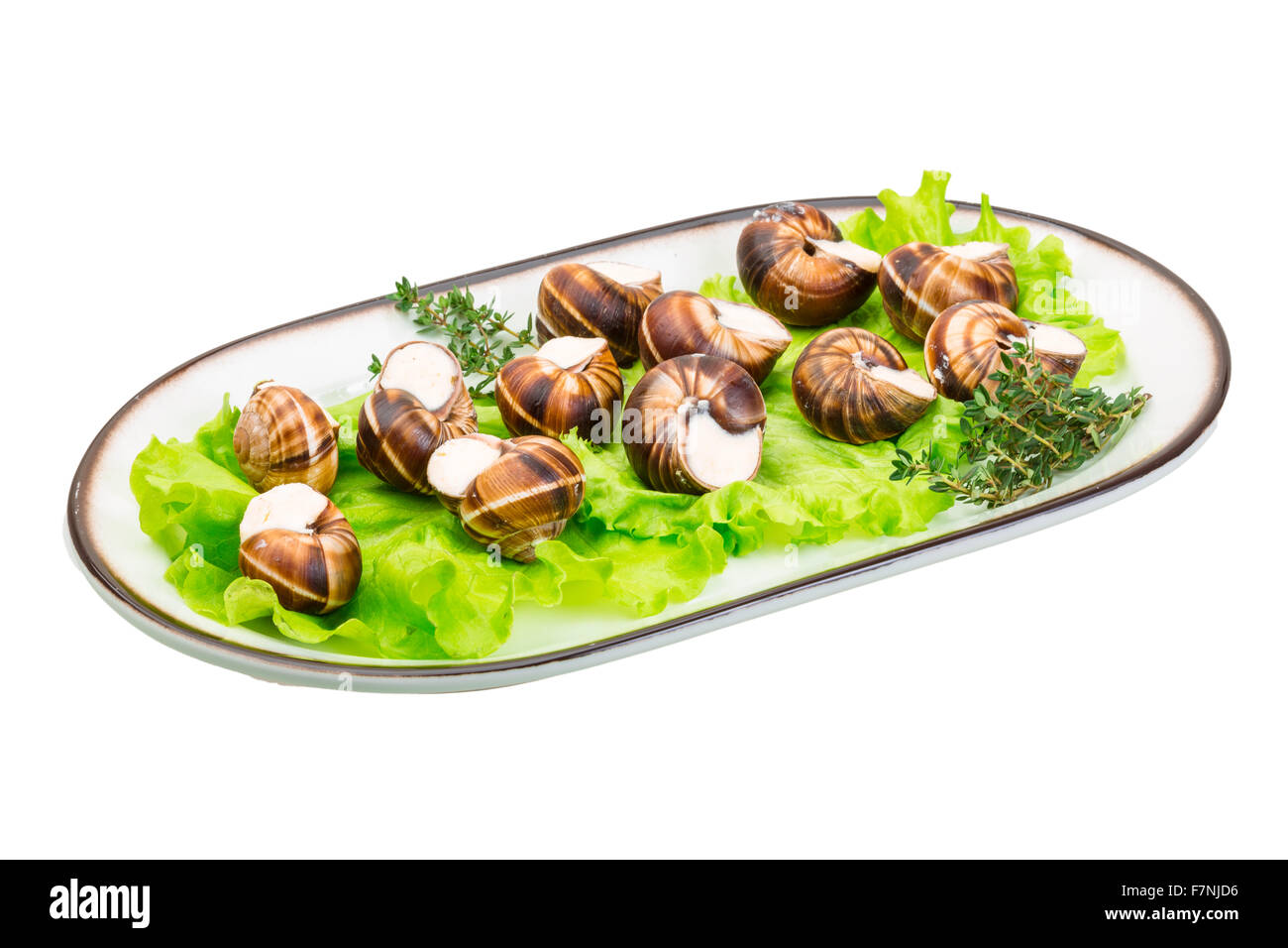 Escargot with cheese sauce Stock Photo - Alamy