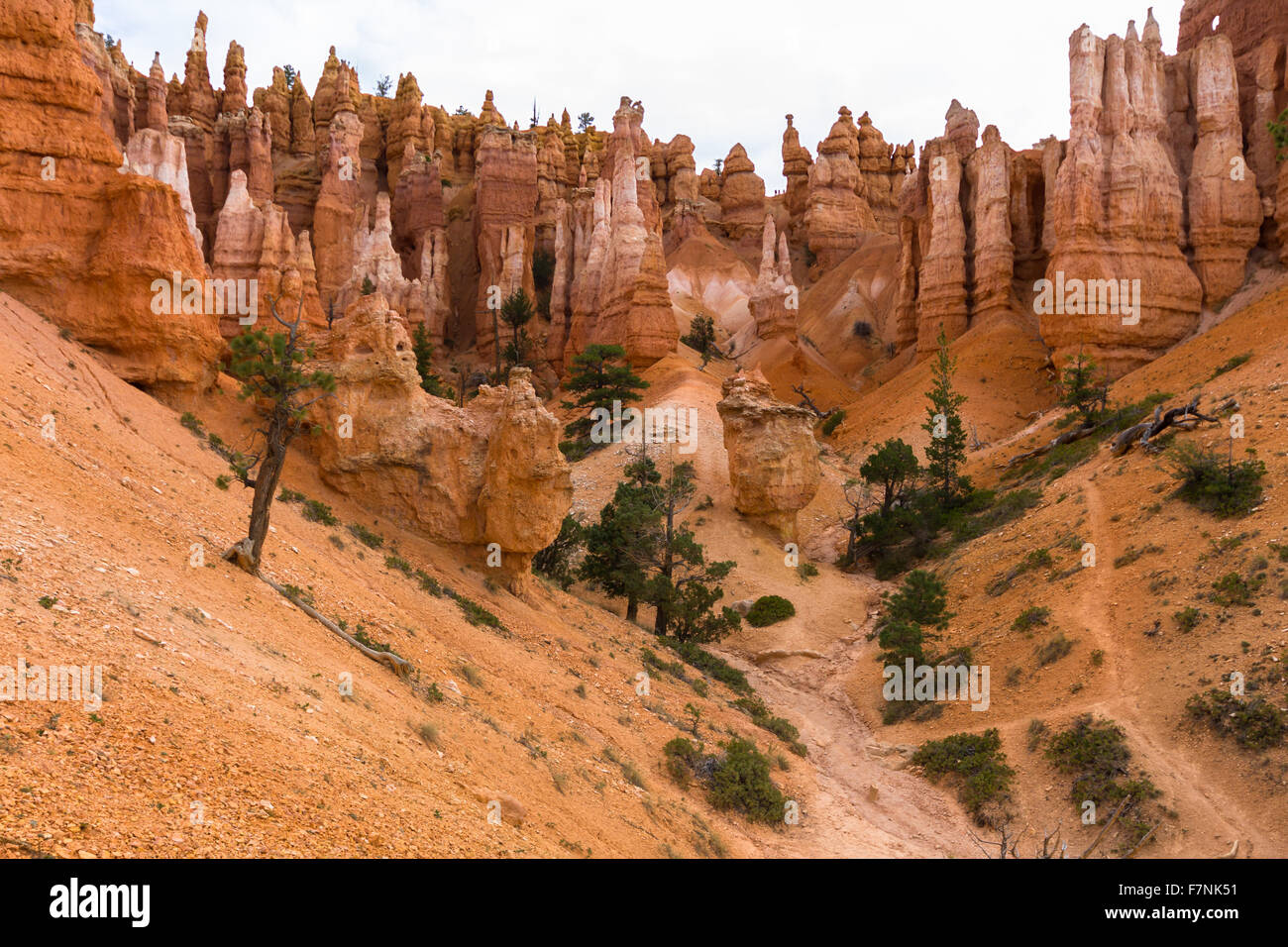 Orange hoodoo rocks in Bryce Canyon Stock Photo - Alamy
