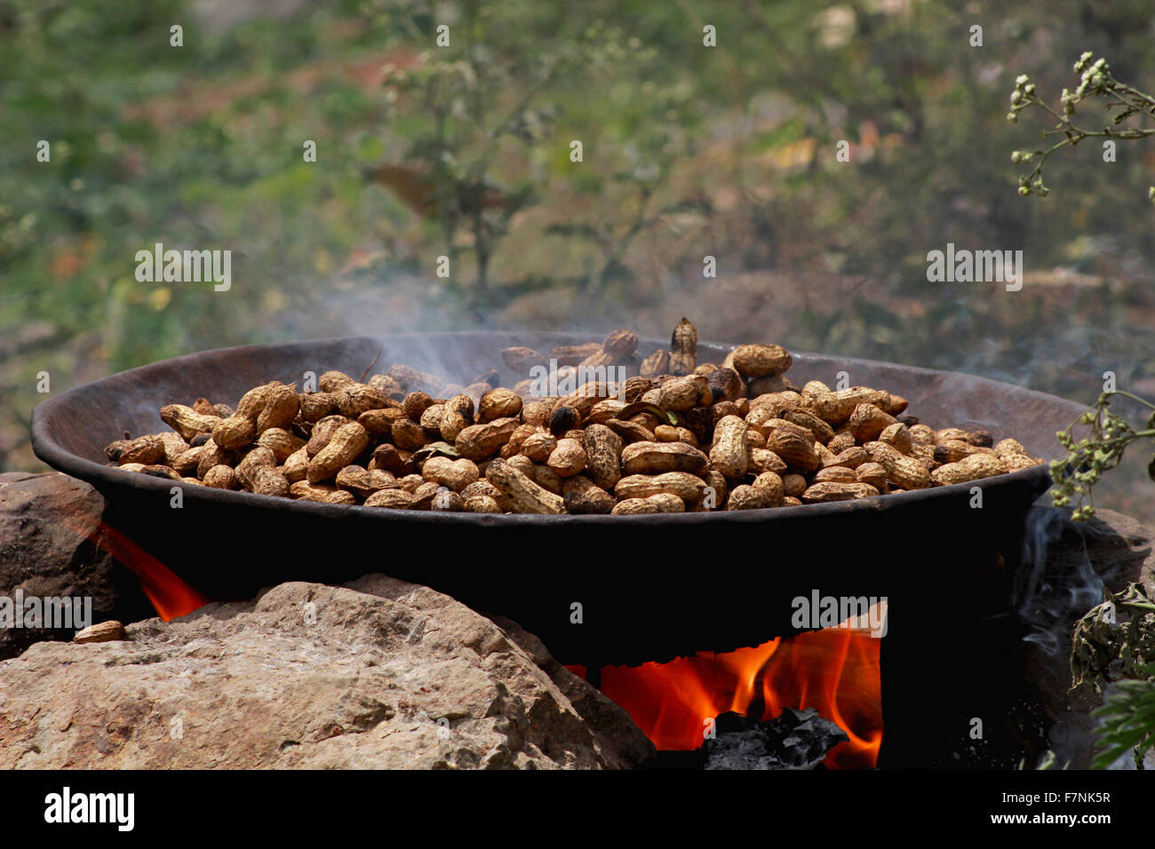 Unshelled peanuts roasting under coal fire Stock Photo - Alamy