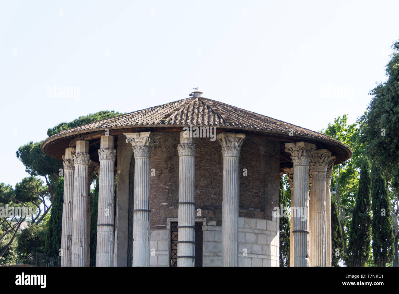 Rome - Vesta temple Stock Photo - Alamy