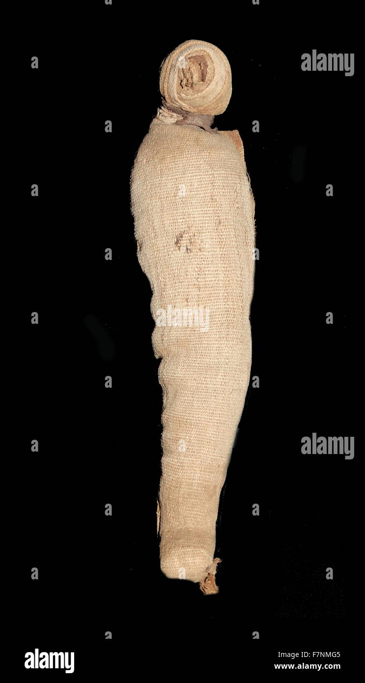 Egypt mummy animal hi-res stock photography and images - Alamy