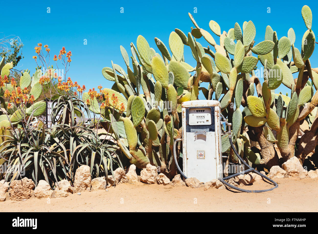 Namibia, Namib desert, Abandoned gas station surrounded by cacti in ...