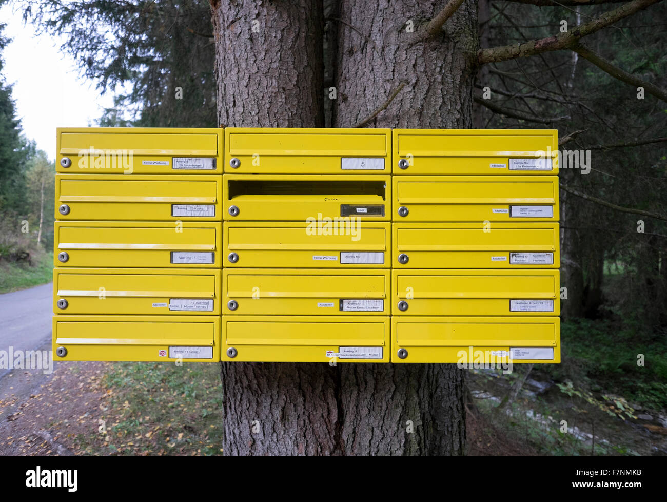 Austria, Styria, Sankt Lambrecht, mailboxes for isolated farms at tree ...
