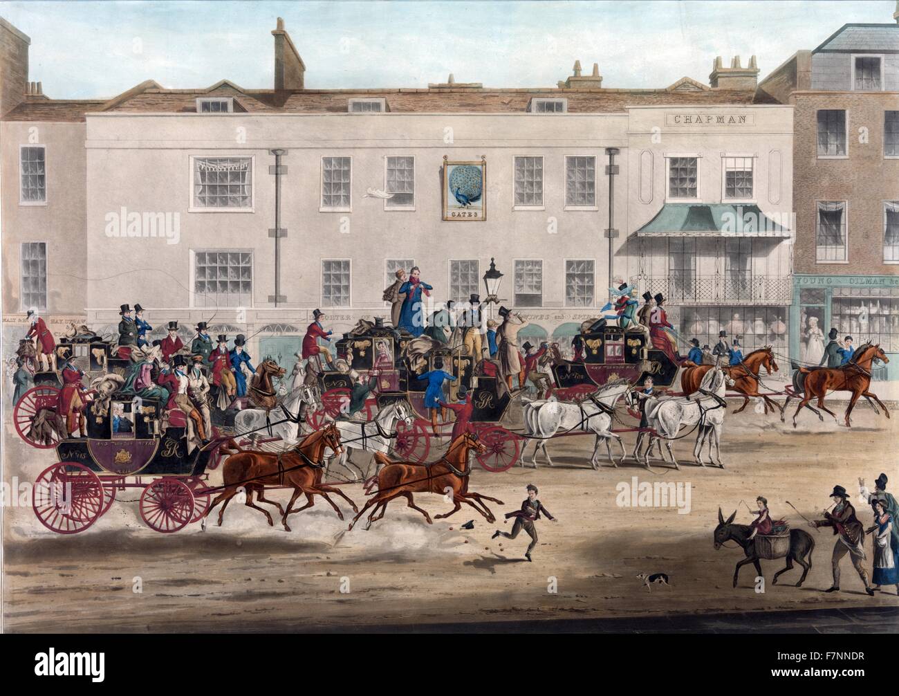 House of commons committee room hi-res stock photography and images - Alamy