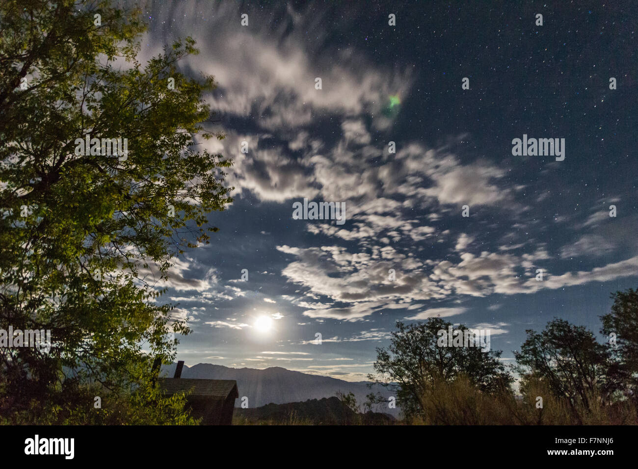 Rural landscape at night, moon shining Stock Photo - Alamy
