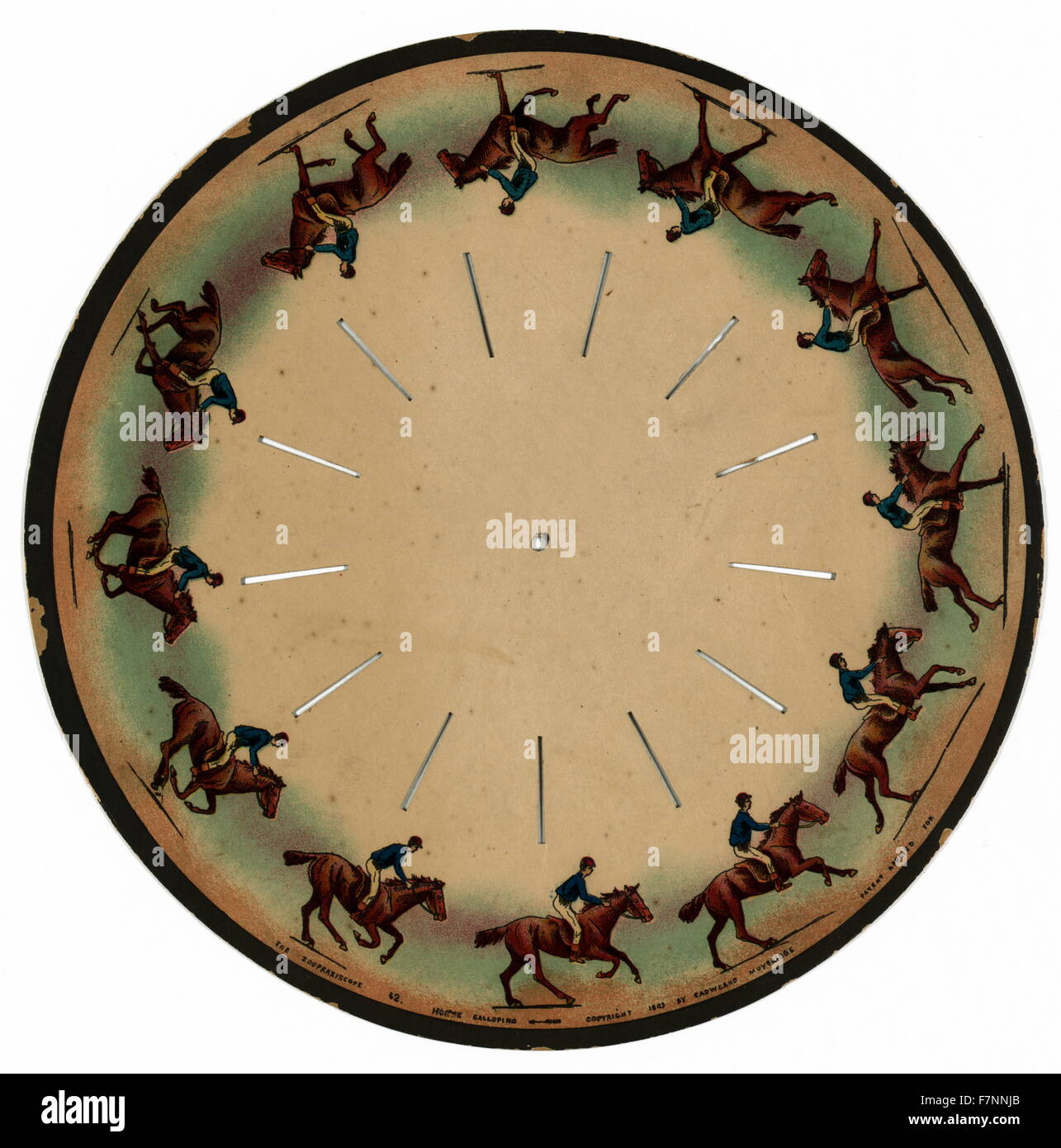 Illustration of horse riding from a zoetrope moving image machine, 1890 ...