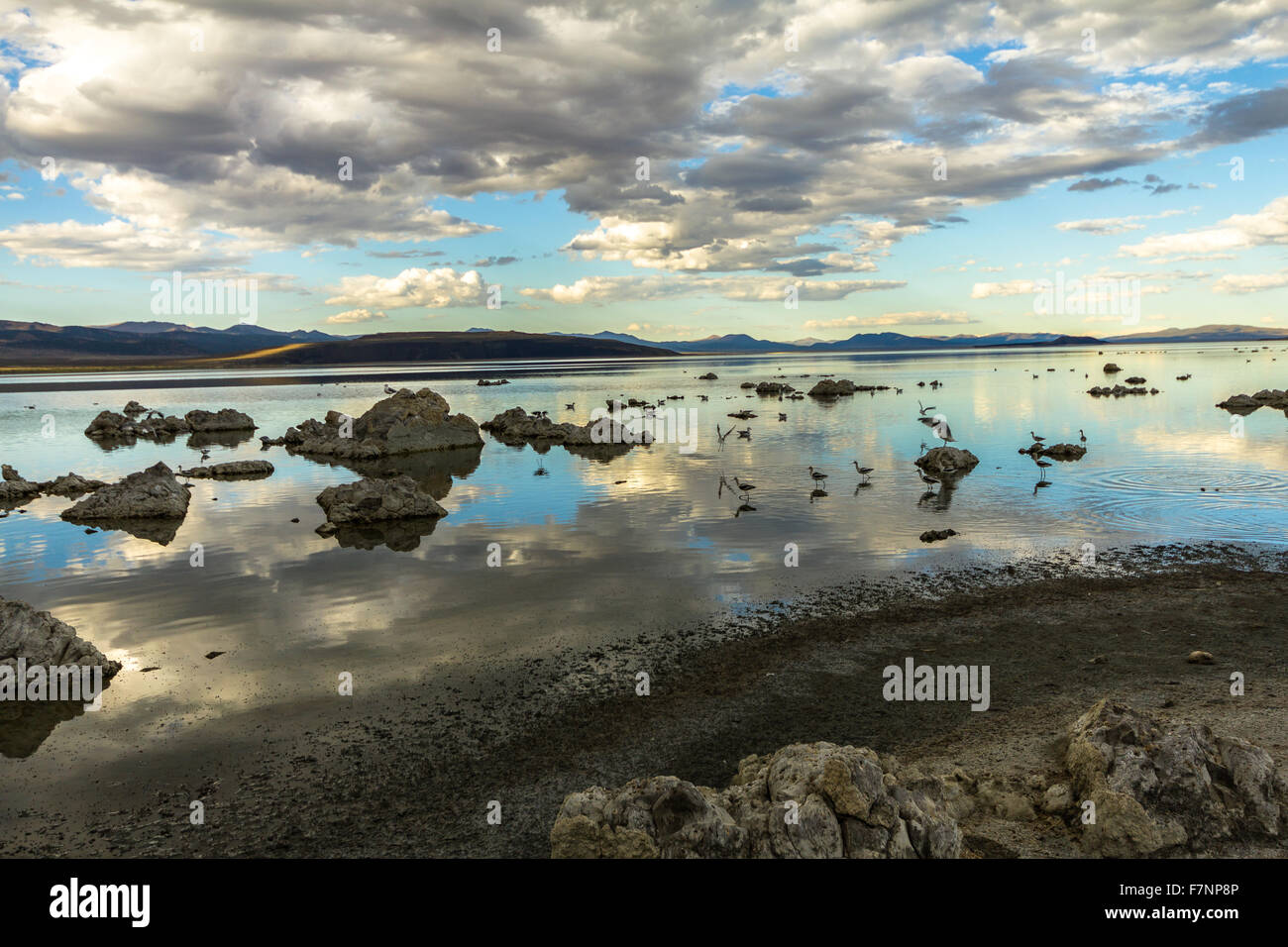 Dramatic view on Mono Lake in California, USA Stock Photo - Alamy