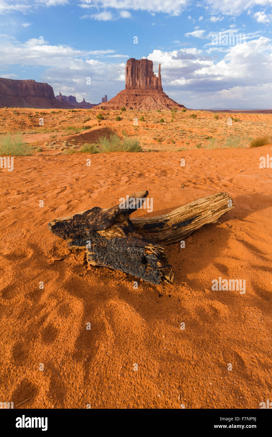 West mesa desert hi-res stock photography and images - Alamy