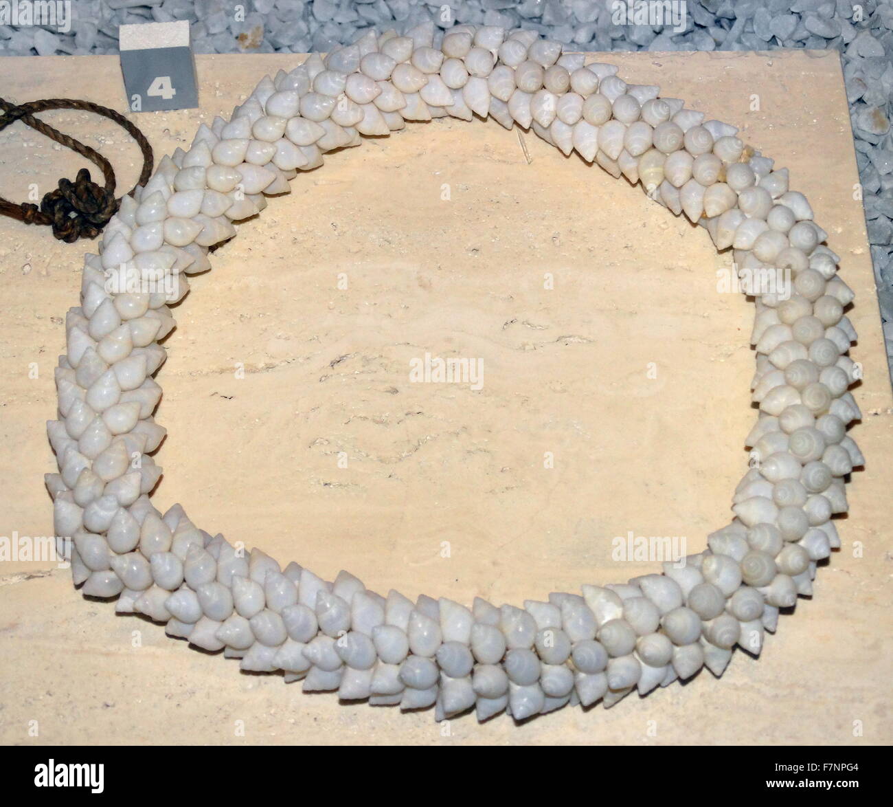 French Polynesian Sea Shell Necklace. Dated 1850 Stock Photo - Alamy