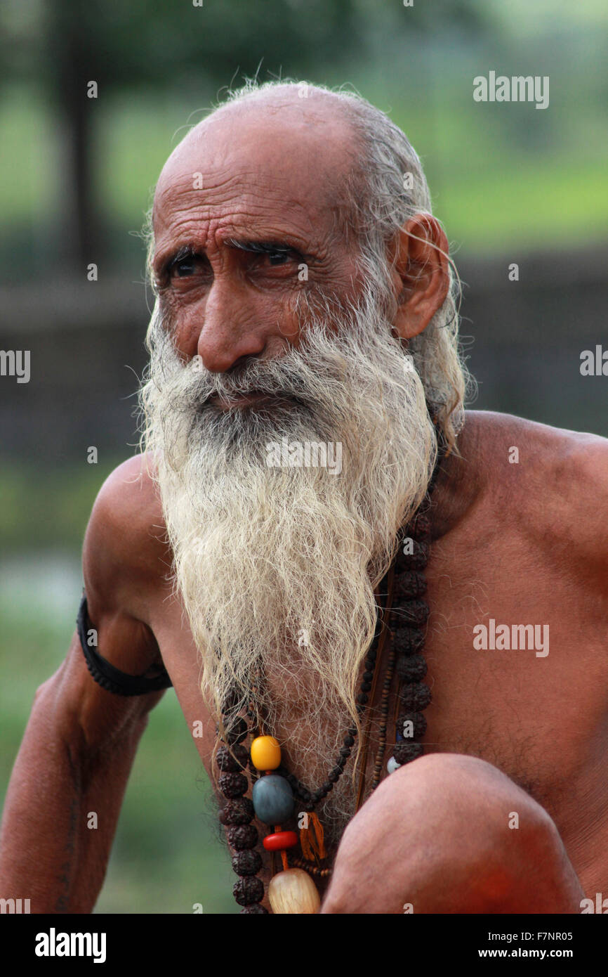 Sadhu with long white beard meditating Kumbh Mela, Nasik, Maharashtra ...