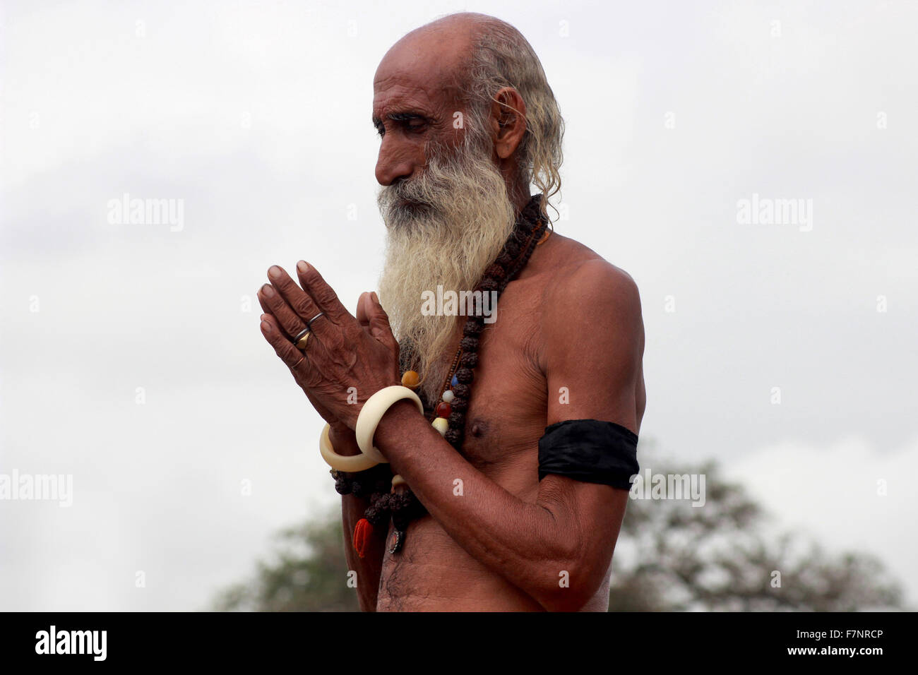 Sadhu with long white beard meditating Kumbh Mela, Nasik, Maharashtra ...