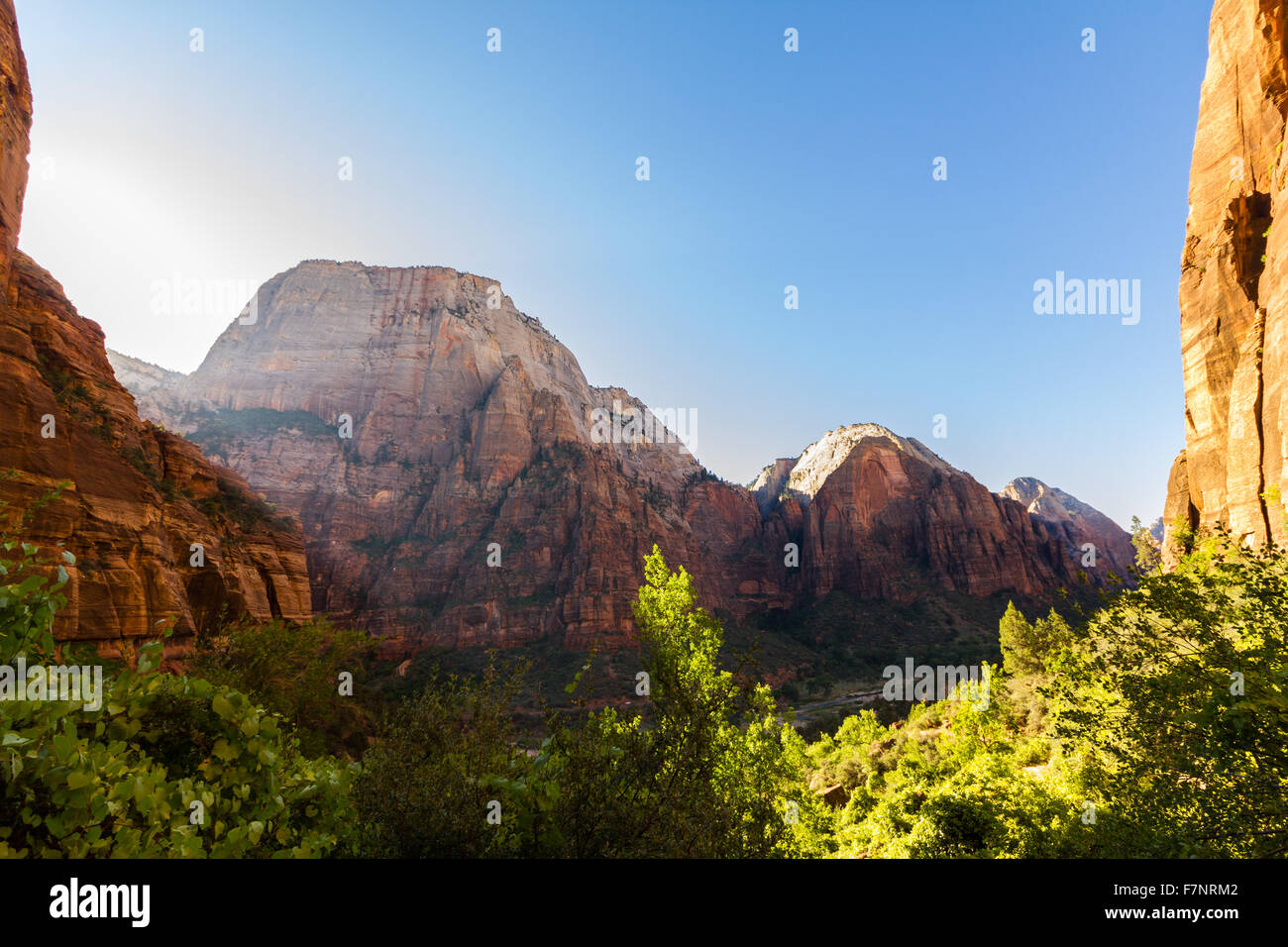Red rocks in zion national hi-res stock photography and images - Alamy