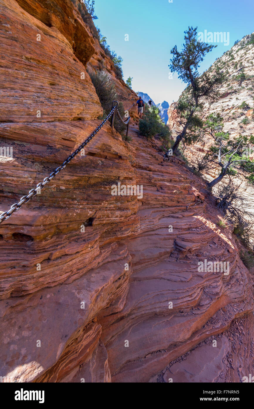 Dangerous trail in Zion National Park, Angel's landing Stock Photo - Alamy