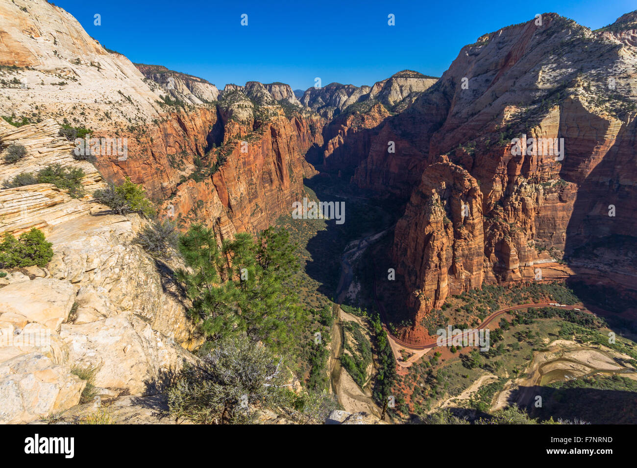 View from the top of Angel's landing, Zion Stock Photo - Alamy