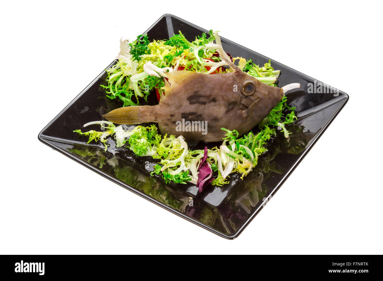 Fish Pesce San Pietro Stock Photo - Alamy