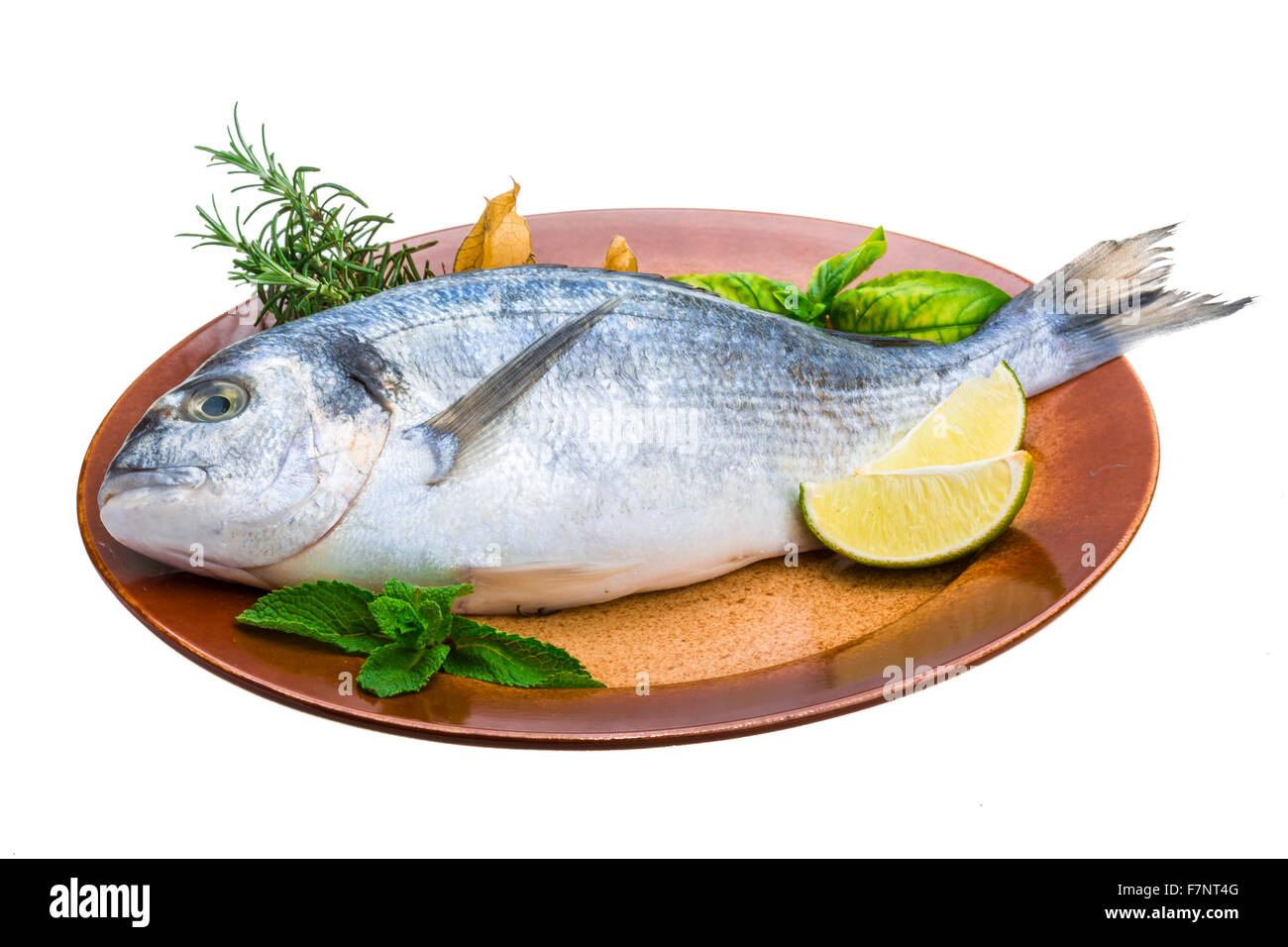 Fresh raw dorada Stock Photo - Alamy