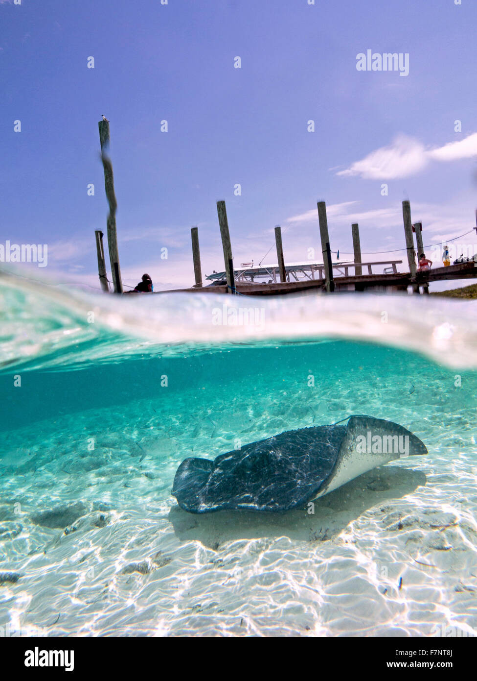 Ship channel cay bahamas hi-res stock photography and images - Alamy