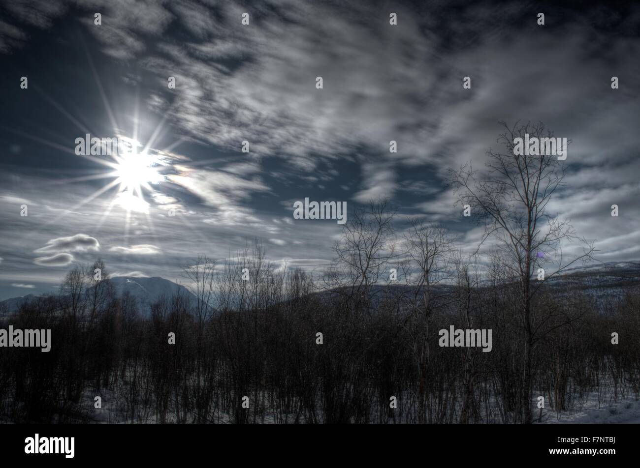 sunny spring forest landscape with snow and mountain Stock Photo - Alamy
