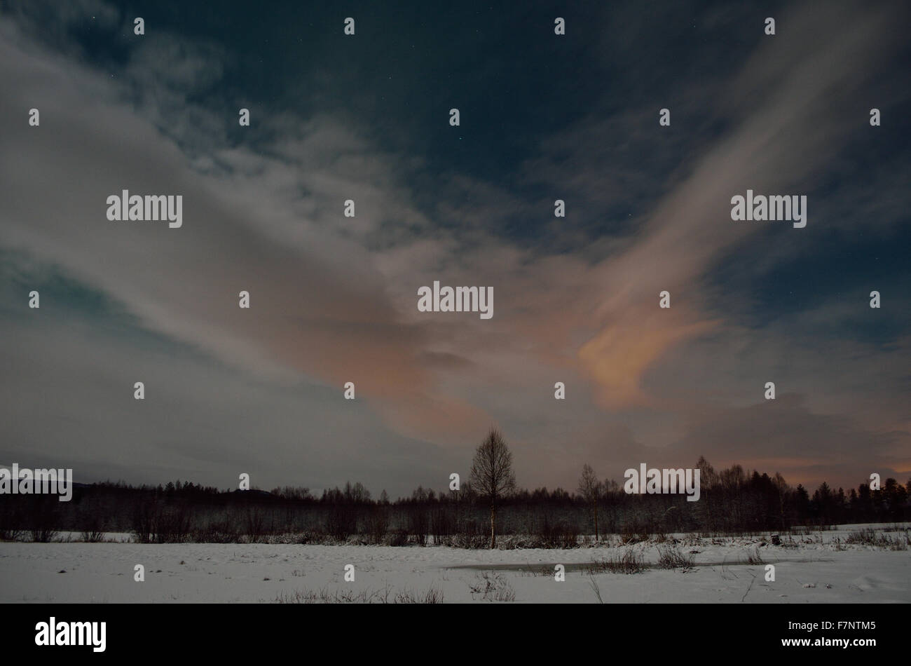 Winter snow night stars forest hi-res stock photography and images - Alamy