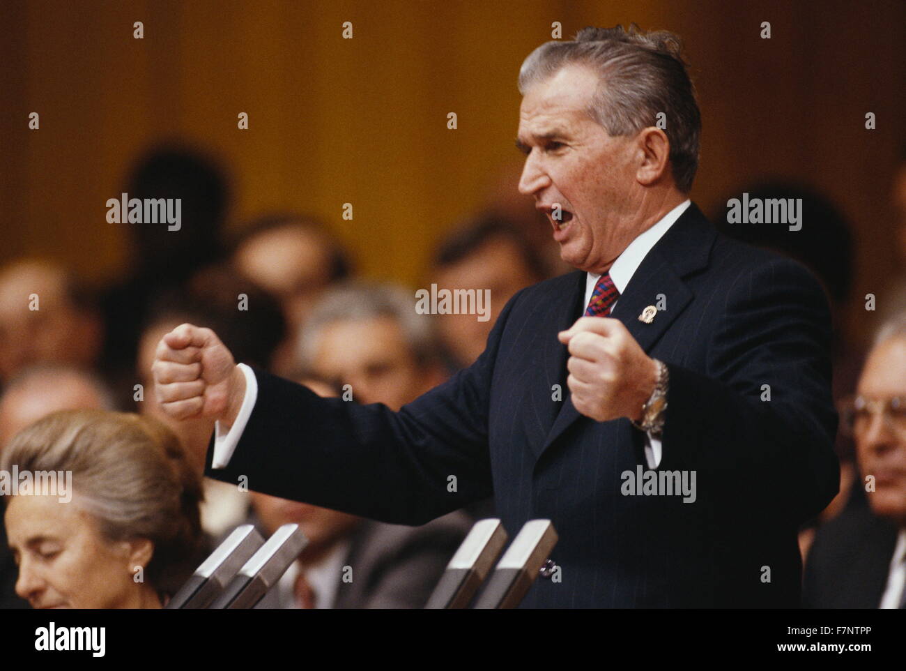 Partidul comunist roman hi-res stock photography and images - Alamy