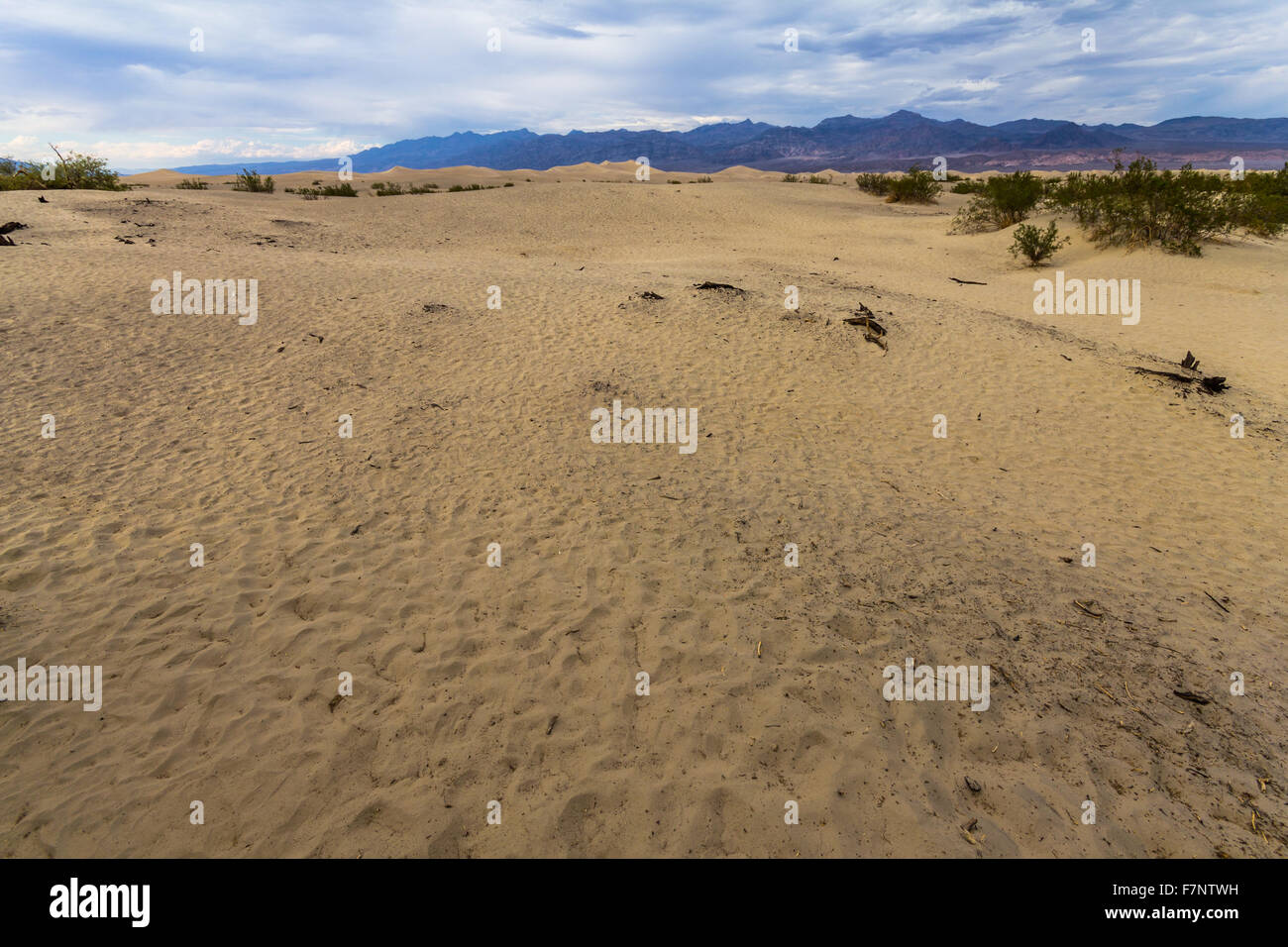 Sandy desert in Death Valley, USA Stock Photo - Alamy