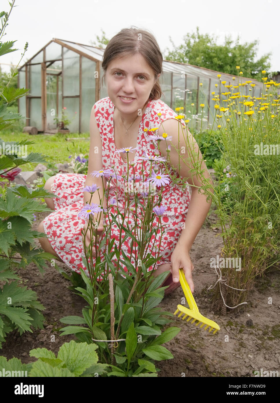 Beautiful young woman in the yard gardening Stock Photo - Alamy
