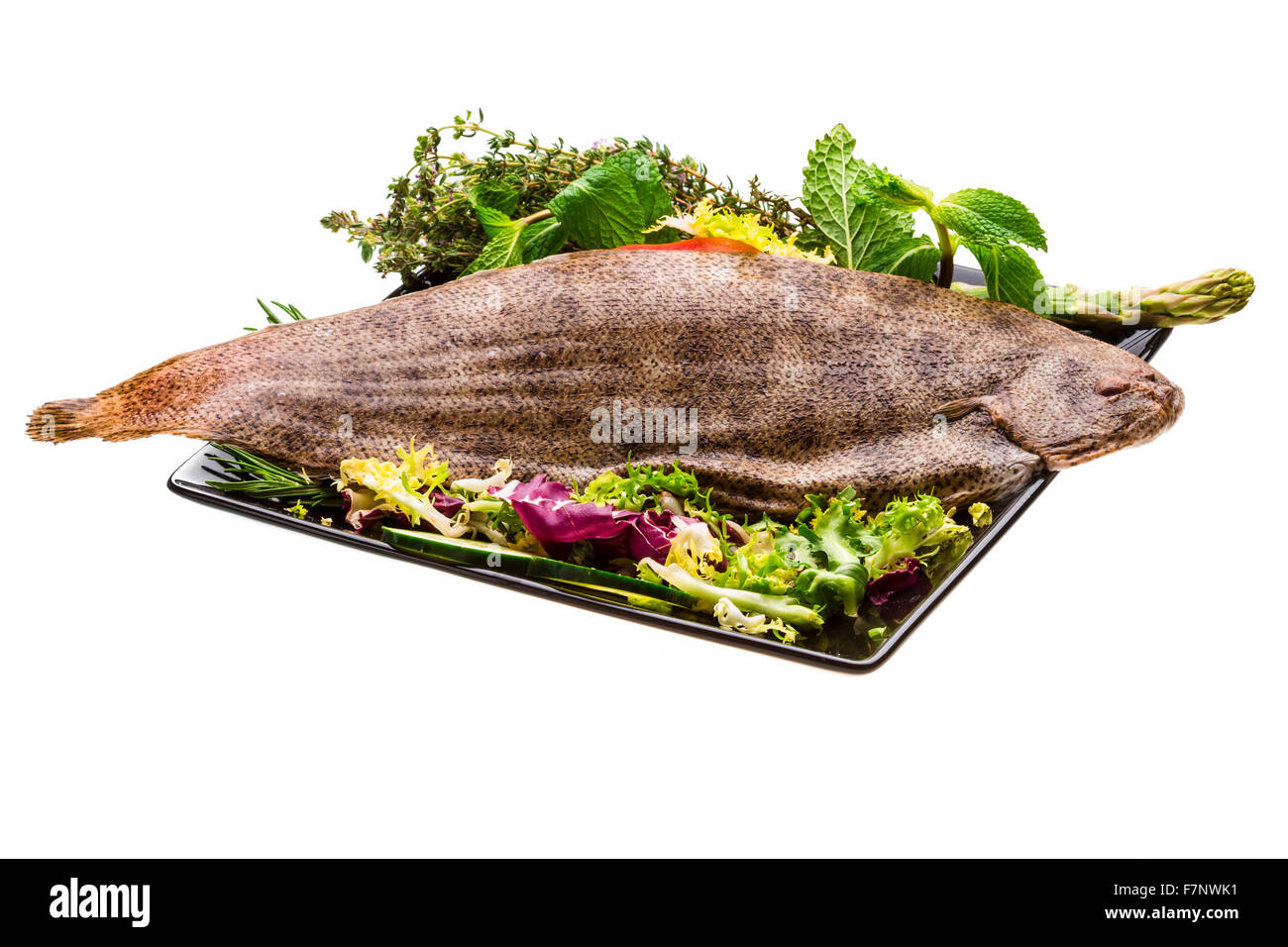 Fish Dover sole Stock Photo - Alamy
