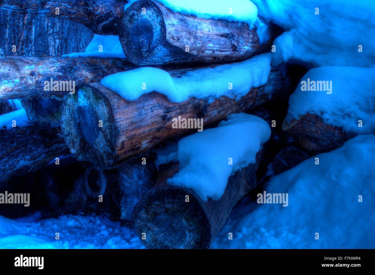 vibrant stack of huge pine tree logs covered in snow Stock Photo - Alamy