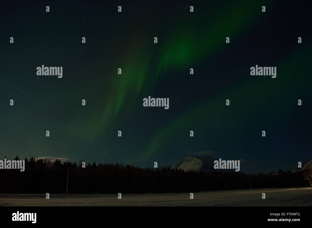 aurora borealis, northern light in the arctic circle at night time ...