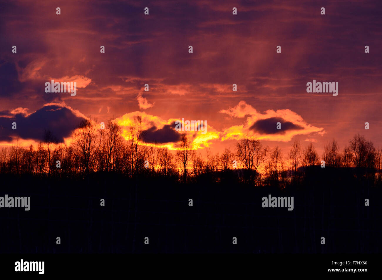 Fire red dawn sky forest hi-res stock photography and images - Alamy