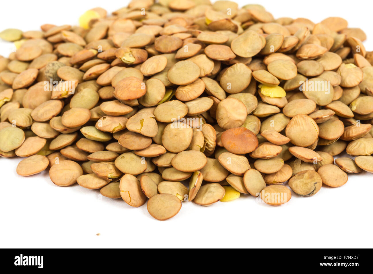 Lentils Isolated on White Background Stock Photo - Alamy